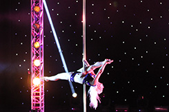 Pole Performers Pole Dancing School :: Pole Dancing Classes Southampton ...